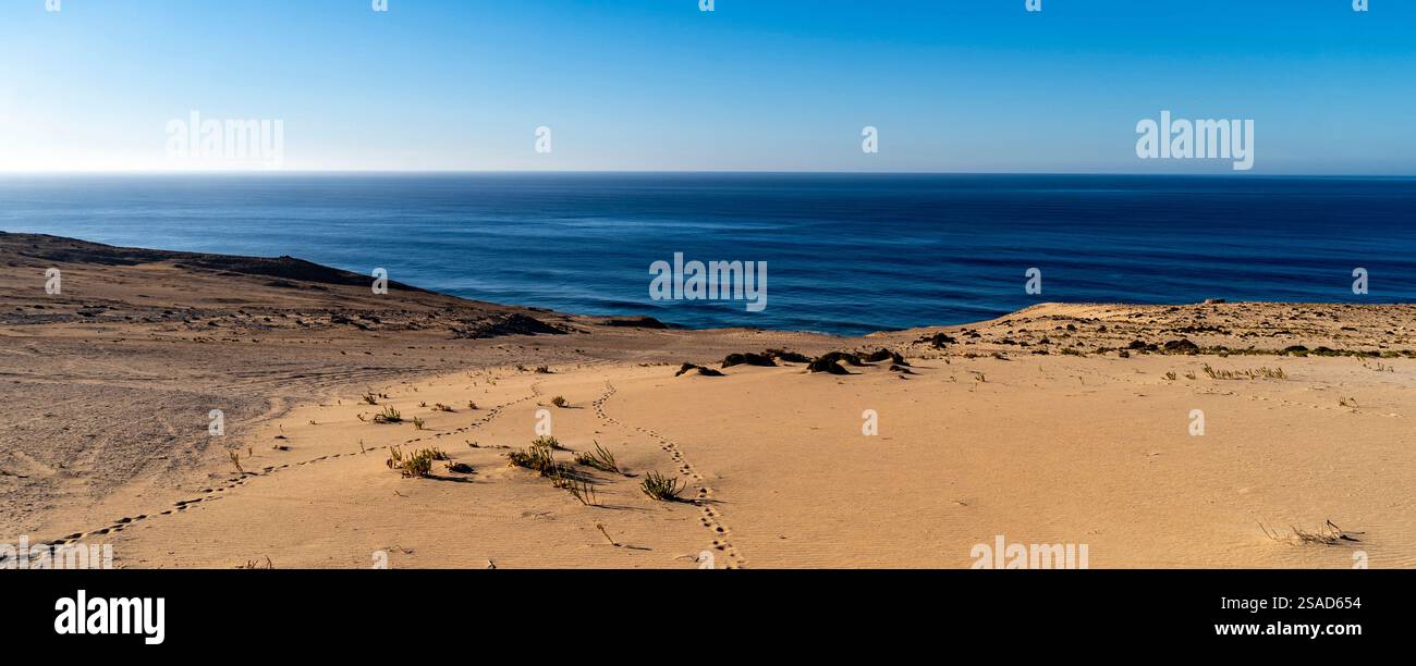 A serene coastal landscape featuring golden sand dunes leading to a ...