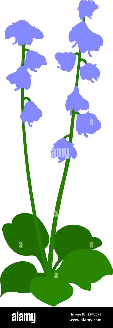 Bell flower. Beautiful flower for making summer and spring meadow ...