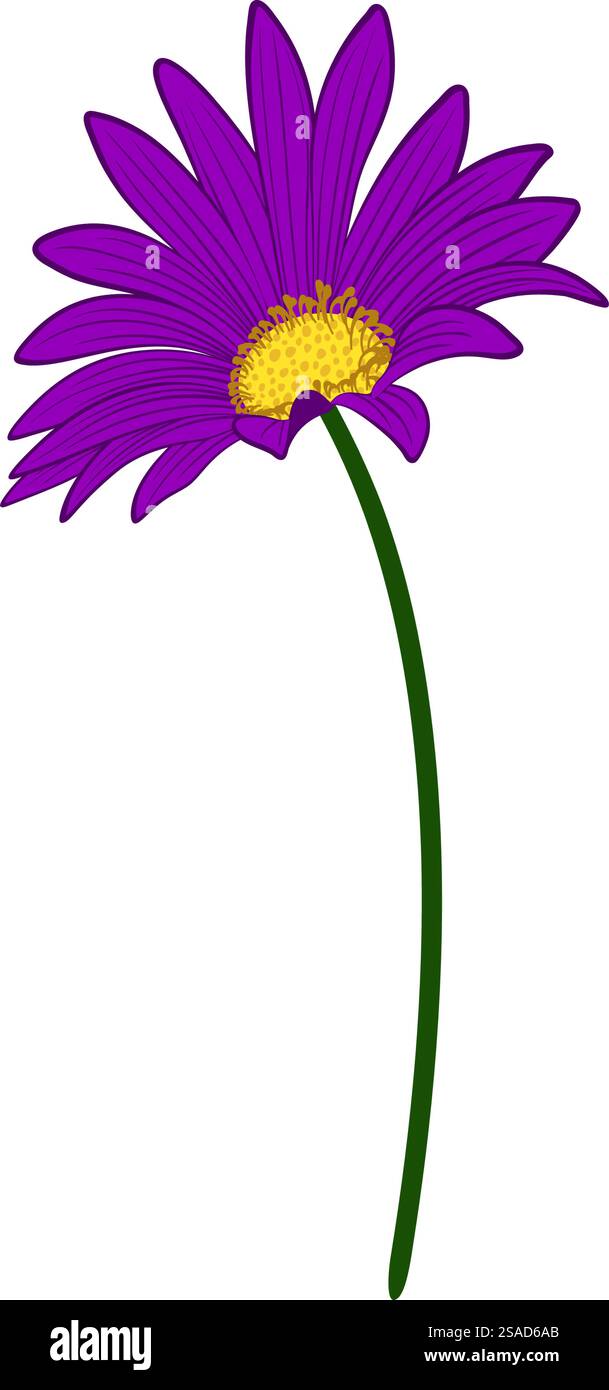 Meadow flower. Beautiful flower for making summer and spring meadow ...