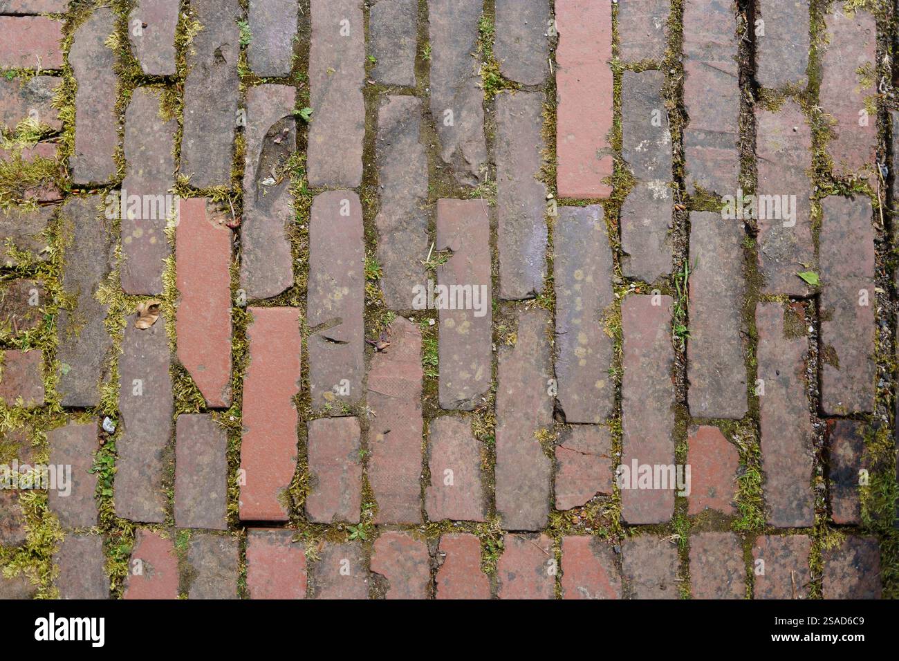Red brick walkway. Surface texture image Stock Photo - Alamy