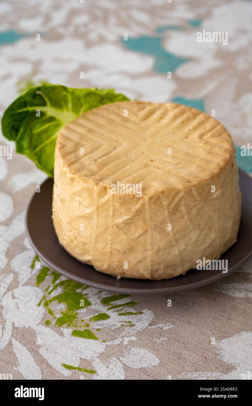 Cheese collection, piece of round fresh smoked Spanish goat cheese with ...