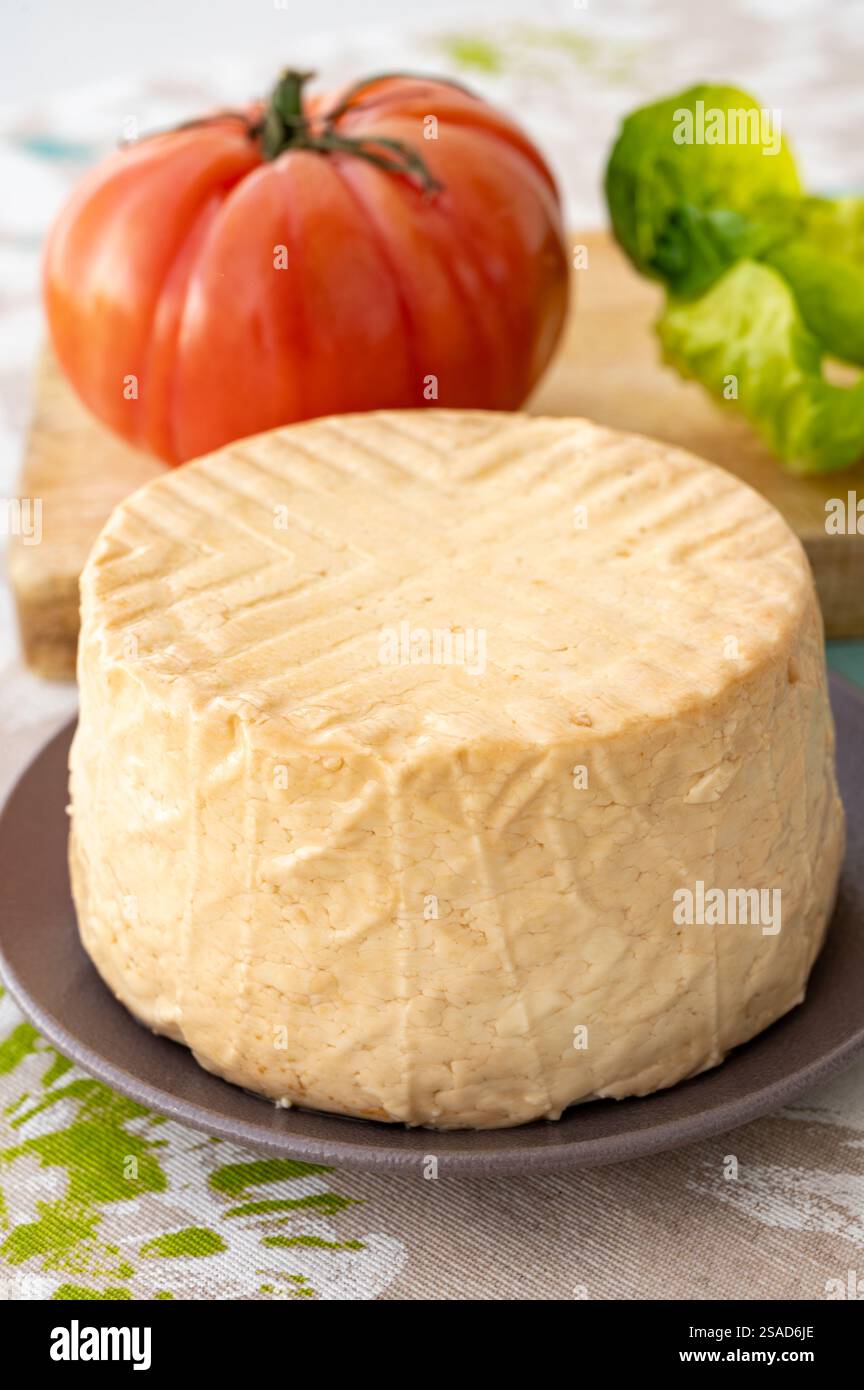 Cheese collection, piece of round fresh smoked Spanish goat cheese with ...