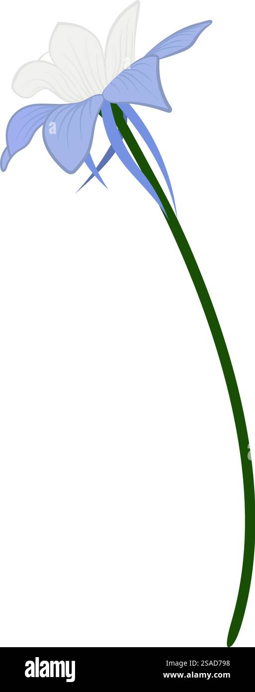 Meadow flower. Beautiful flower for making summer and spring meadow ...