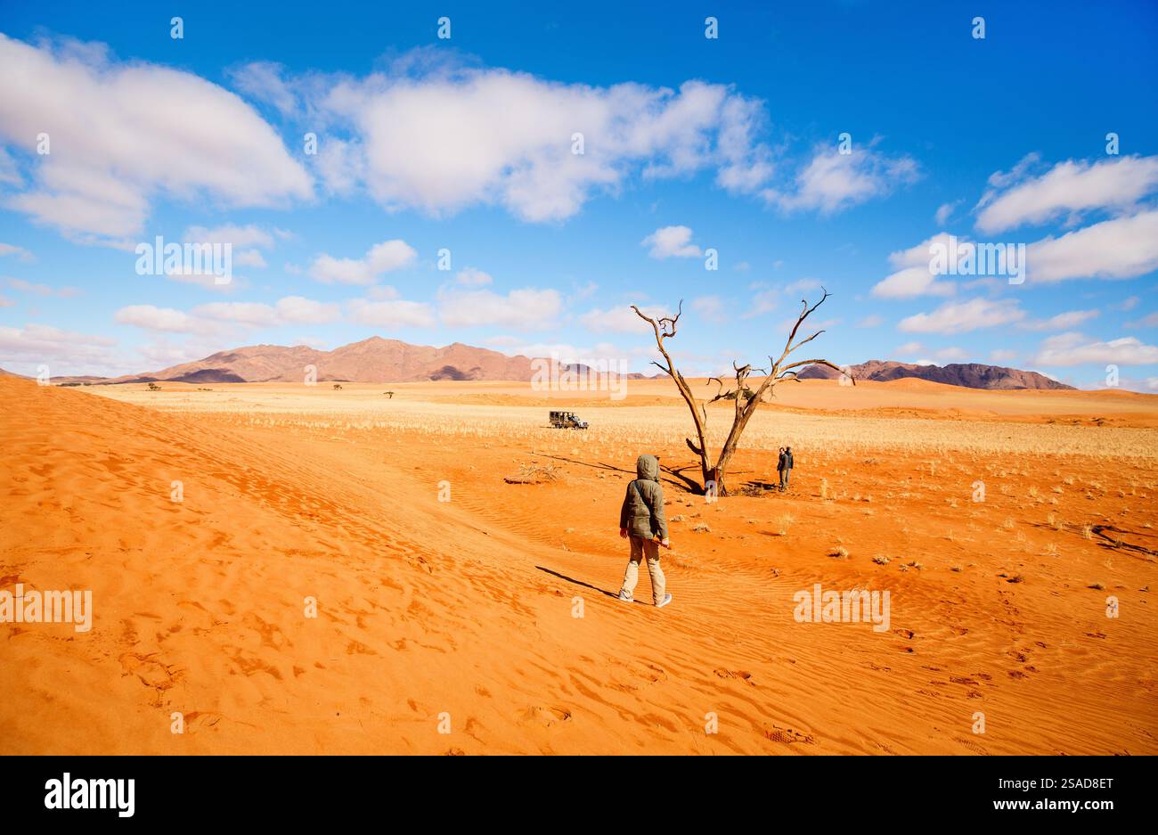 Family exploring Namib desert during vacation in Namibia Stock Photo ...