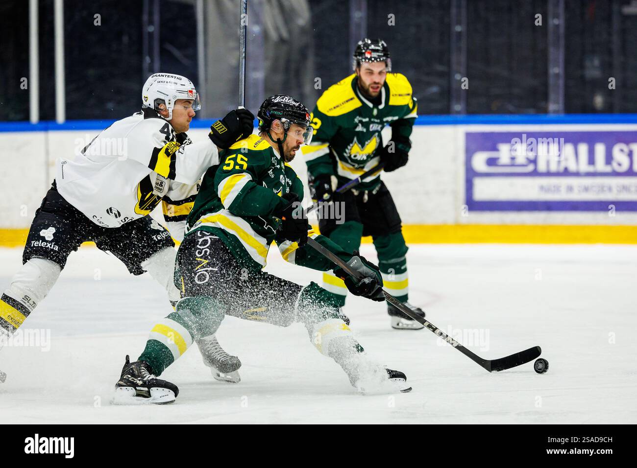 250129 Östersunds Linus Videll under ishockeymatchen i ...