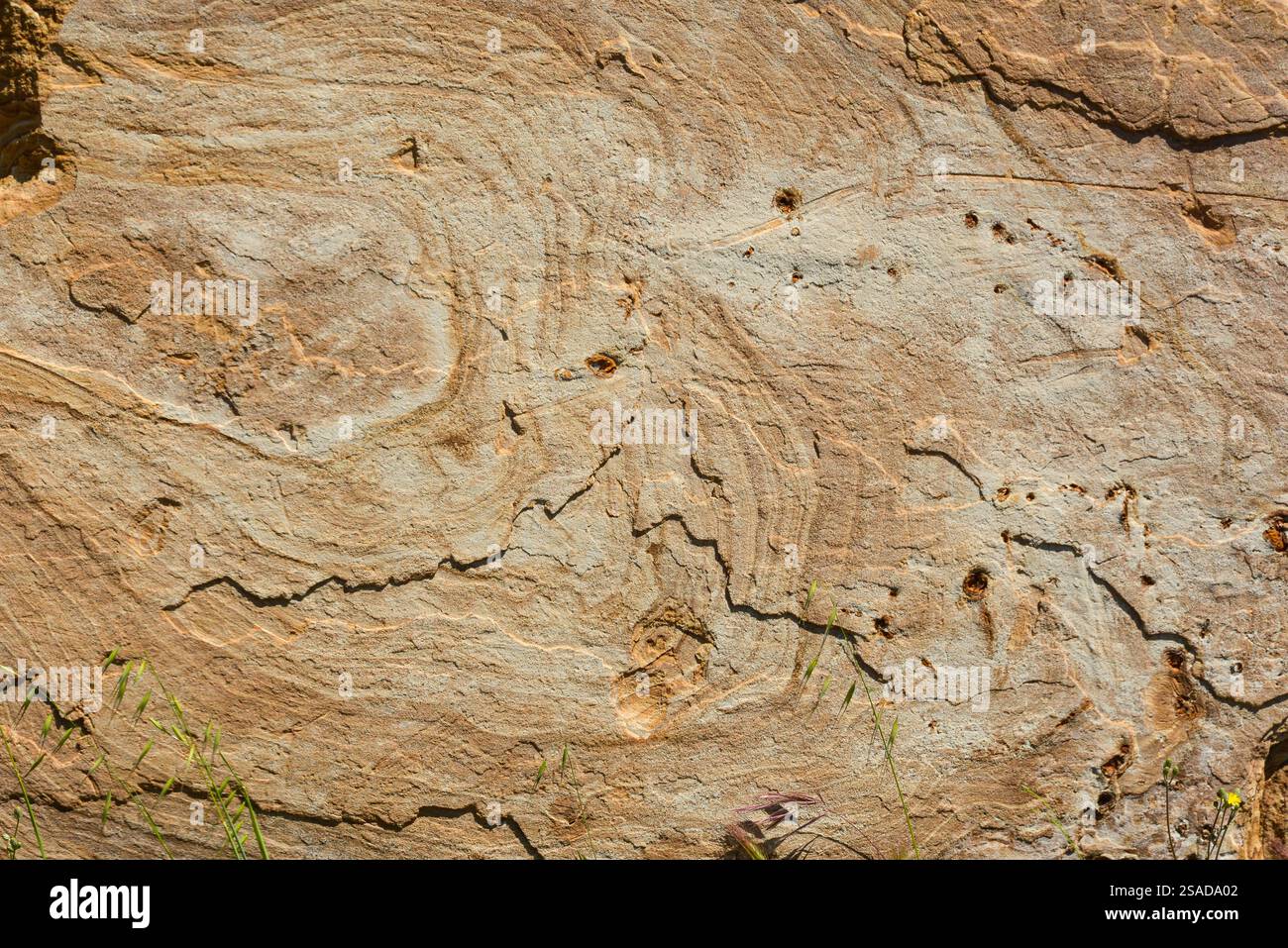 Cast sandstone hi-res stock photography and images - Alamy