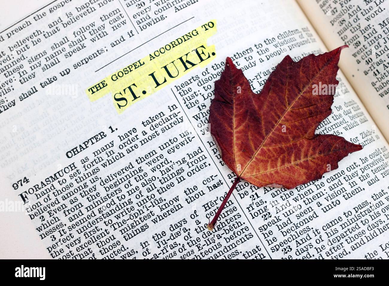 Open Bible with a dried tree leaf. New testament. Gospel. Saint Luke ...