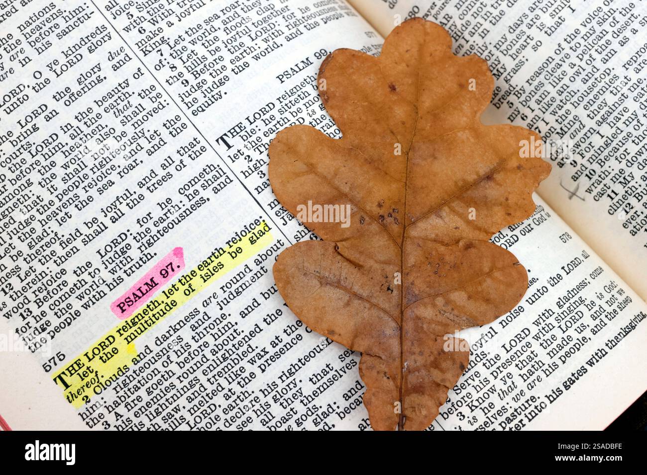 Open Bible with a dried tree leaf. Psalm Stock Photo - Alamy