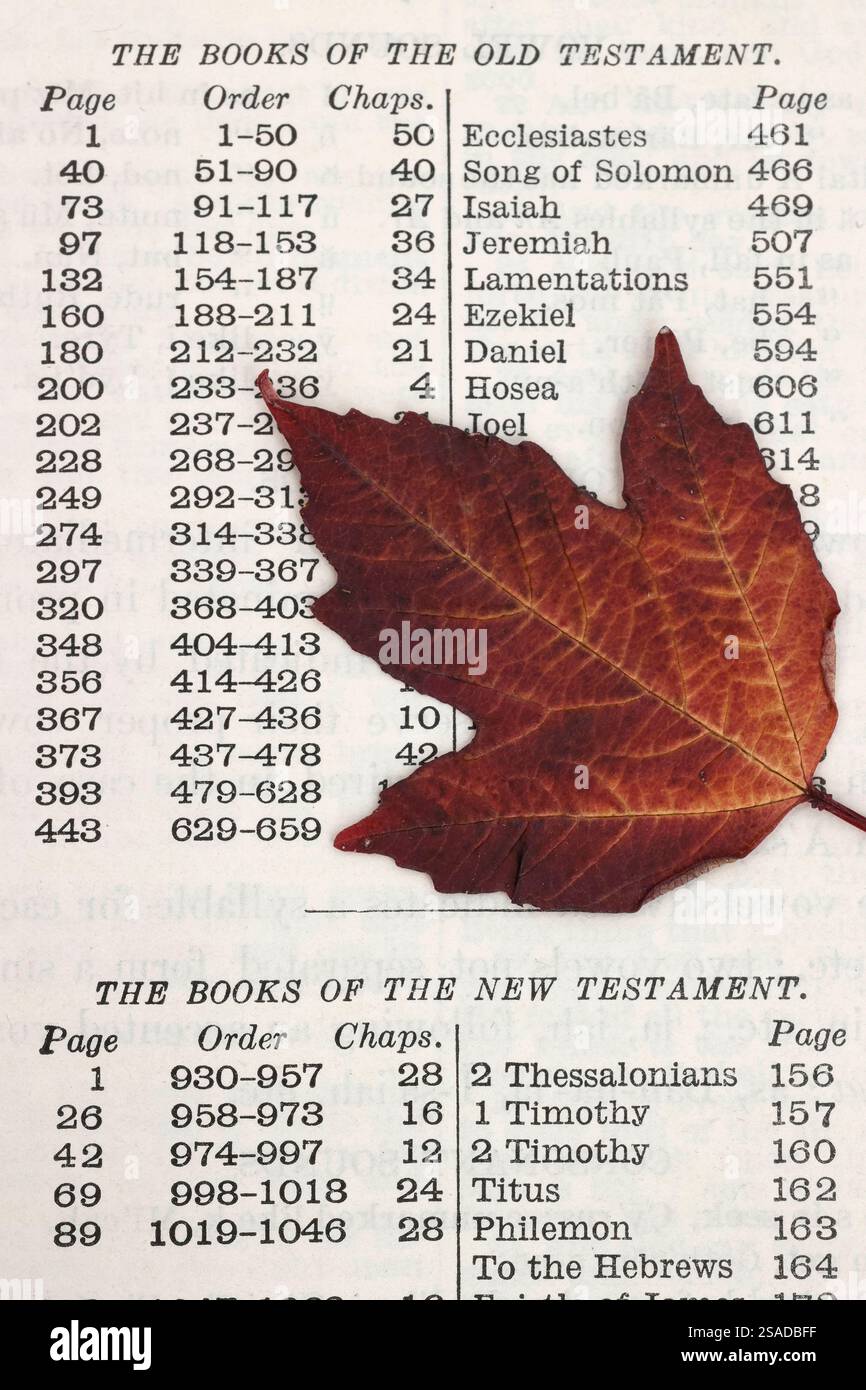 Open Bible with a dried tree leaf. Old Testament Stock Photo - Alamy