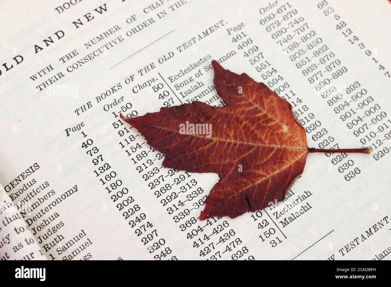 Open Bible with a dried tree leaf. Old Testament Stock Photo - Alamy