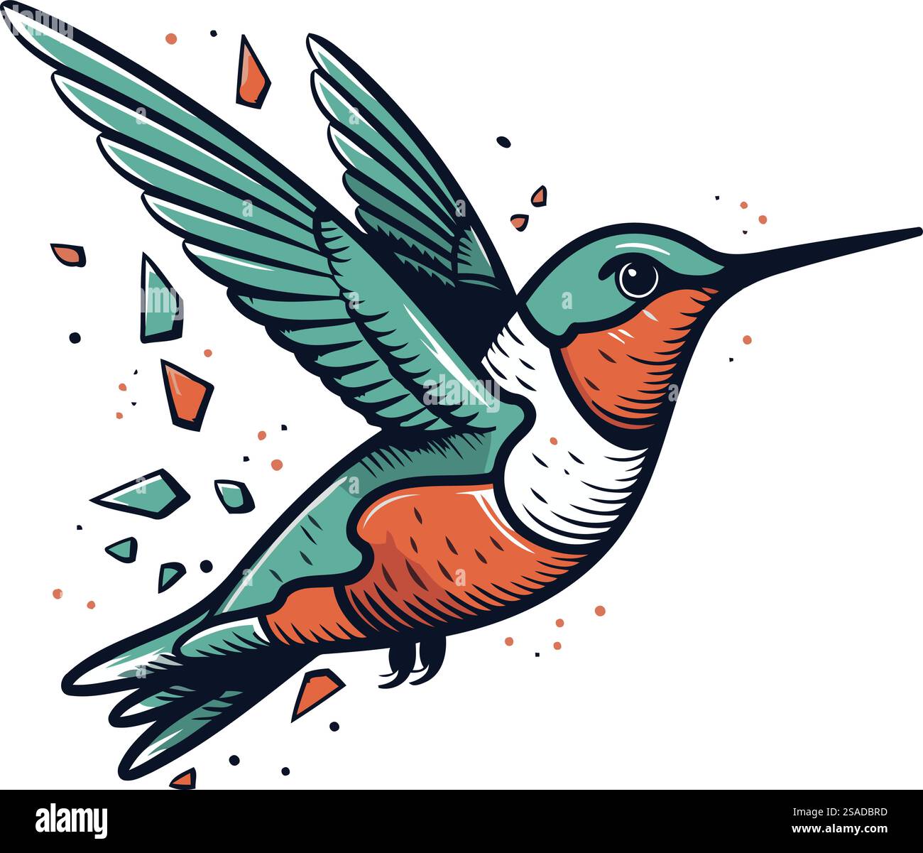 Hummingbird colorful vector illustration. Hand drawn doodle style Stock ...