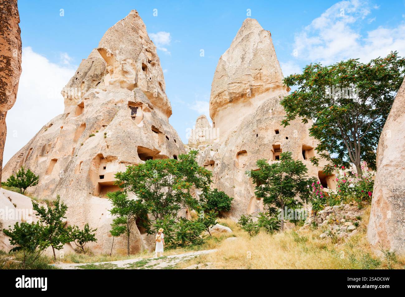 Back view of young woman exploring valley with rock formations and ...