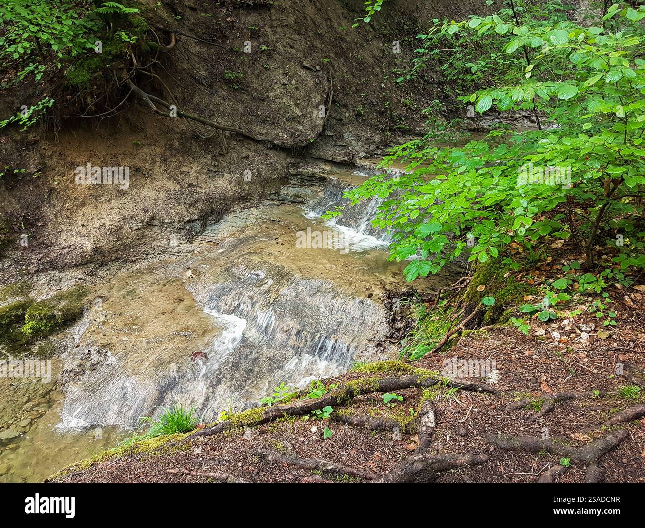 Feuersteinschluch hi-res stock photography and images - Alamy