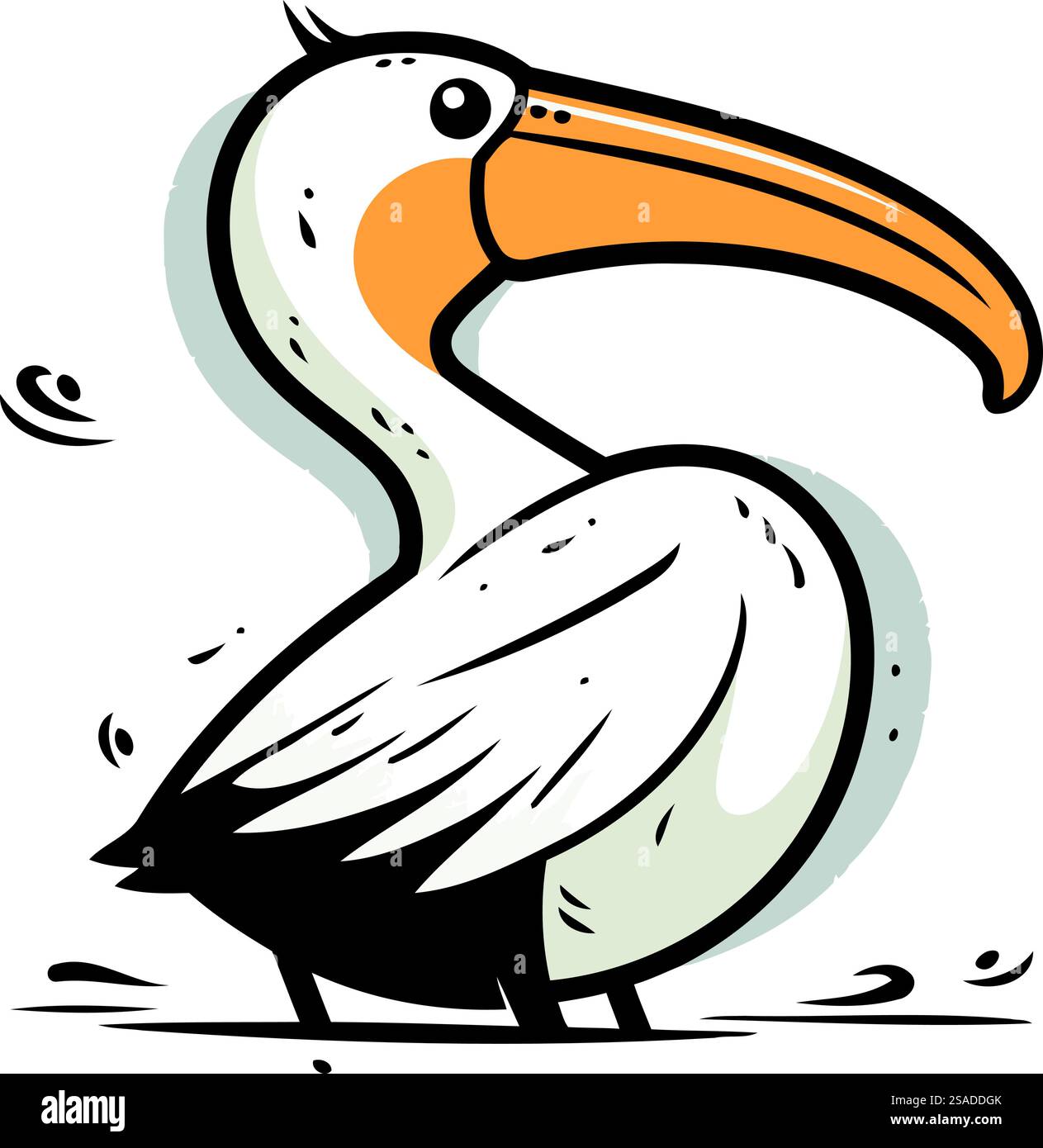 Pelican. Hand drawn vector illustration. Isolated on white background ...