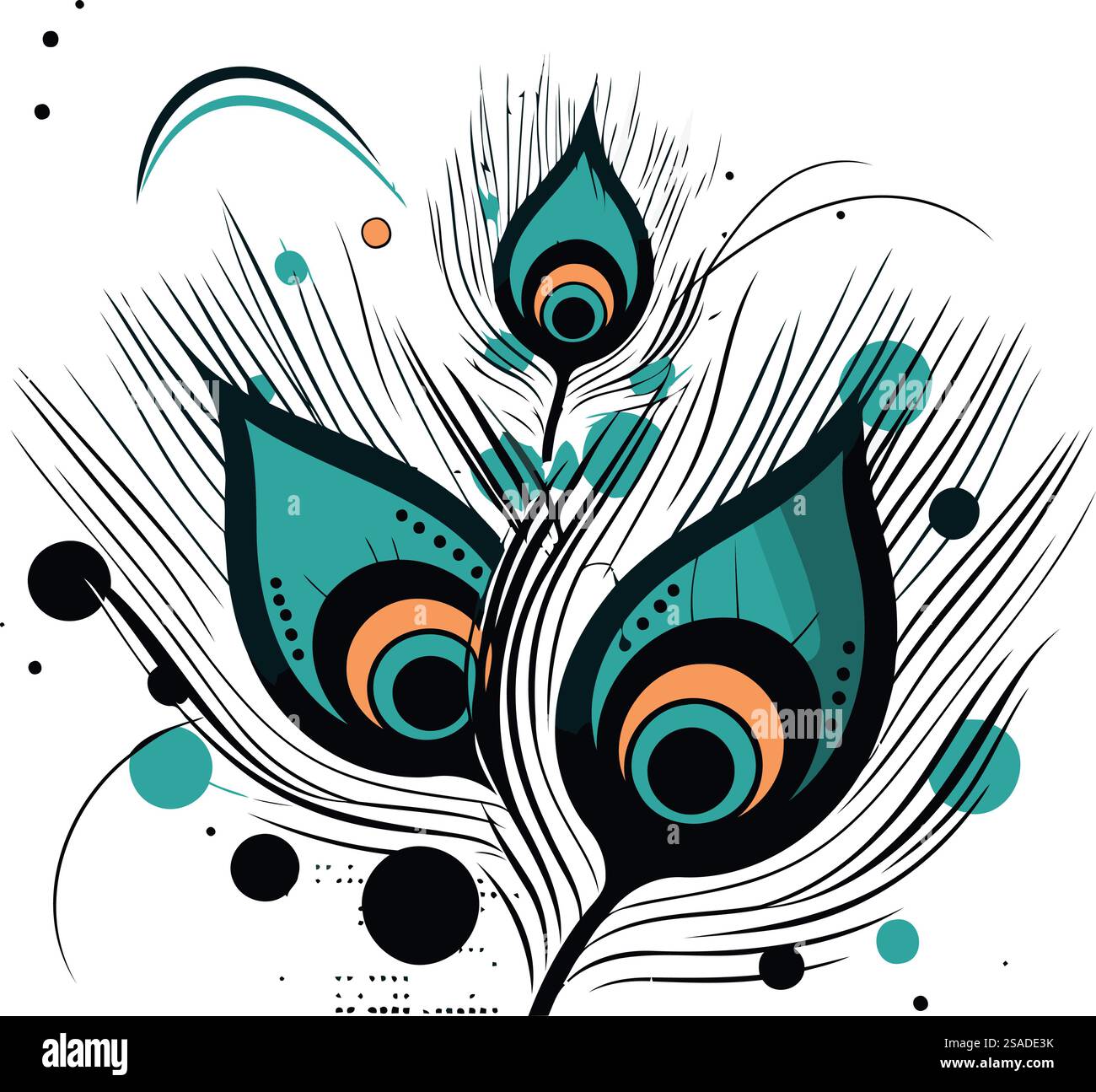 Vector illustration with peacock feathers on white background. Design ...