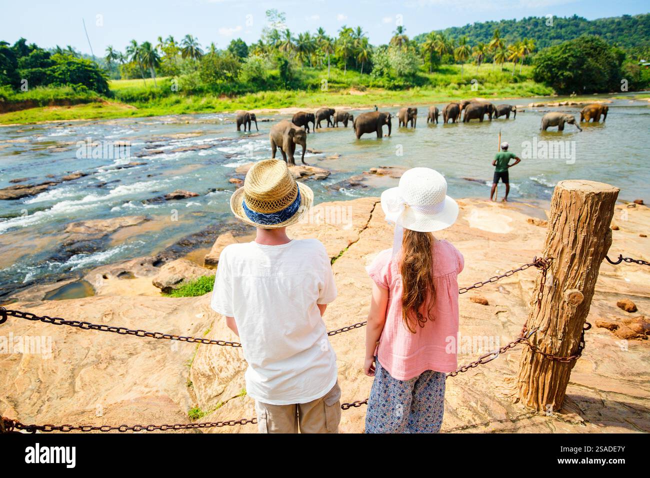 Kids watching Sri Lankan elephants at riverbed drinking water Stock ...