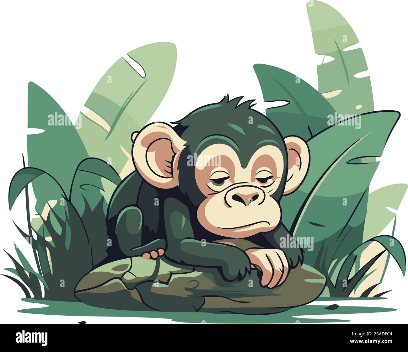 Monkey sitting on a rock in the jungle. Vector illustration Stock ...
