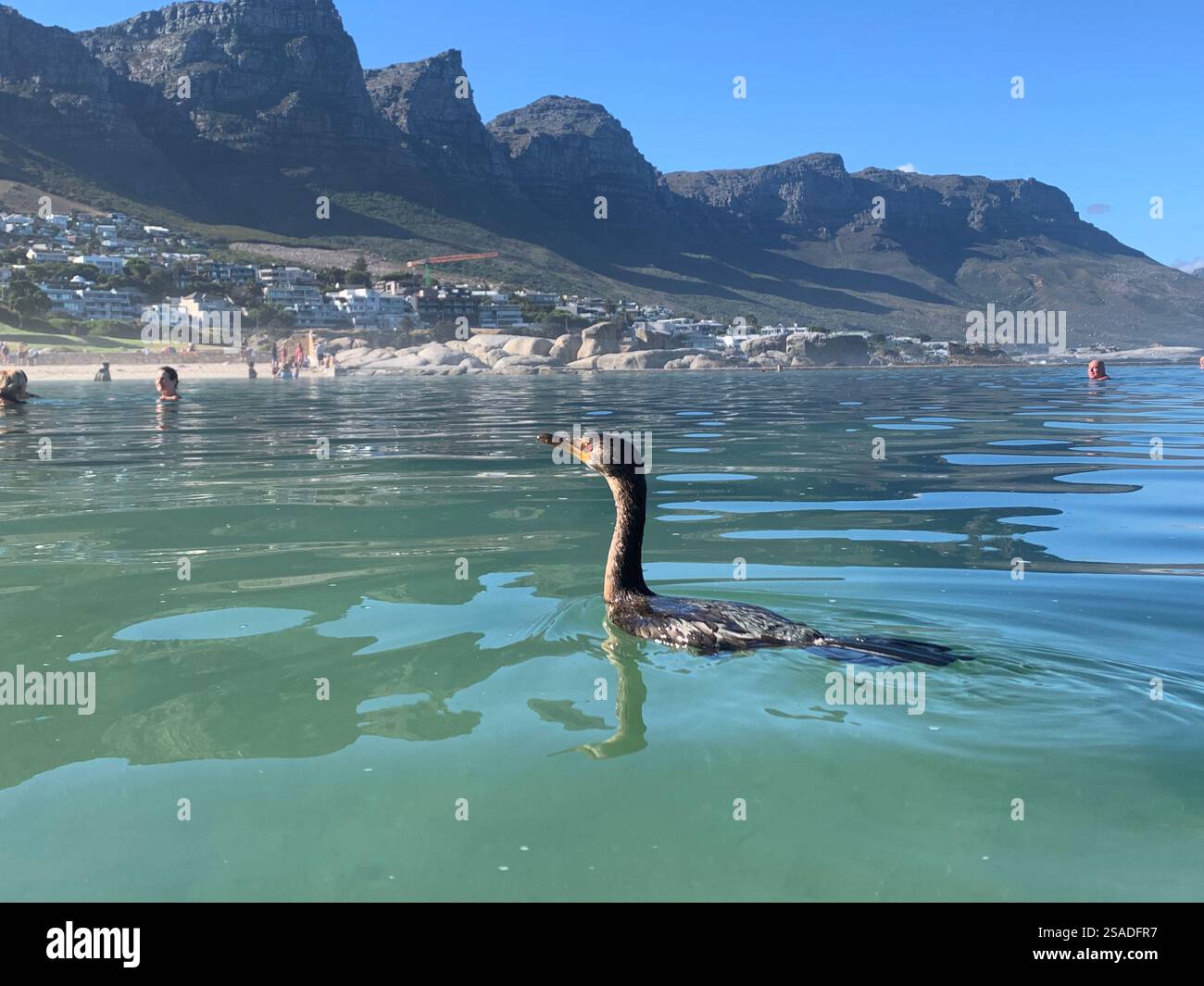 Camps Bay Tidal Pool Stock Photo - Alamy