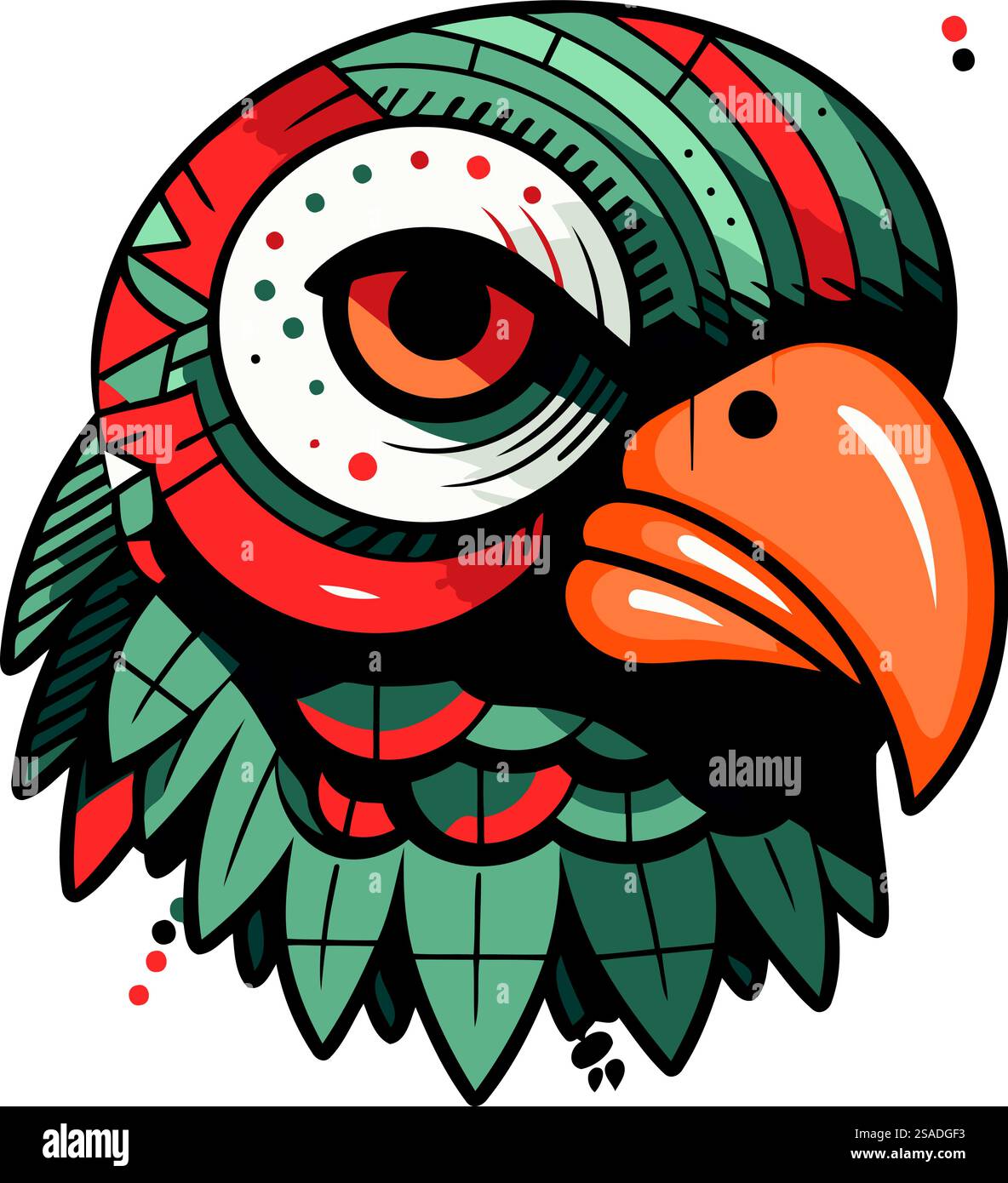 Vector illustration of an indian parrot head on white background Stock ...