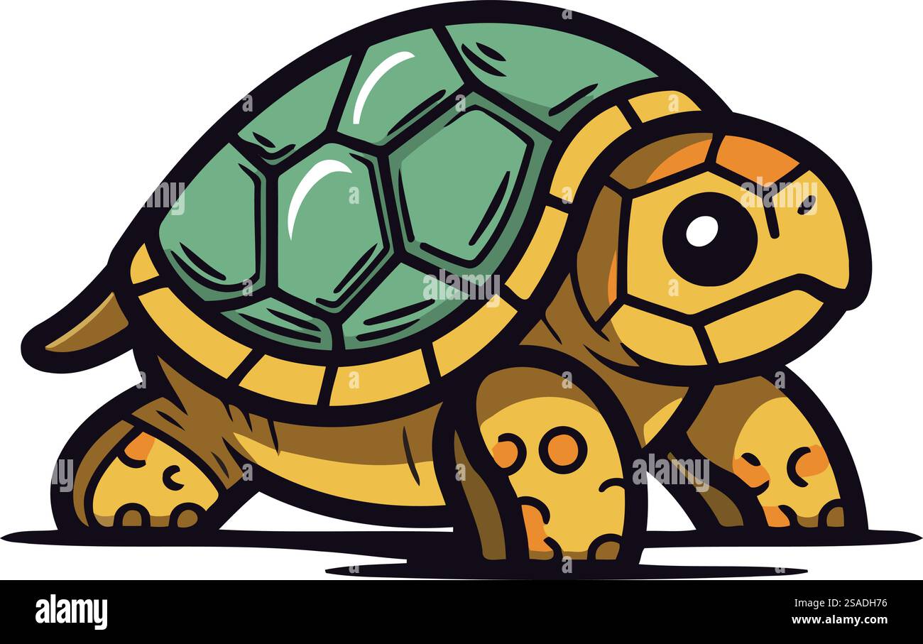 Cartoon turtle isolated on white background. Vector illustration of ...