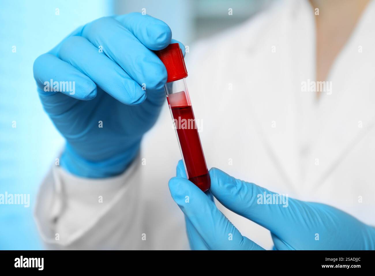 Laboratory testing. Doctor holding test tube with blood sample indoors ...