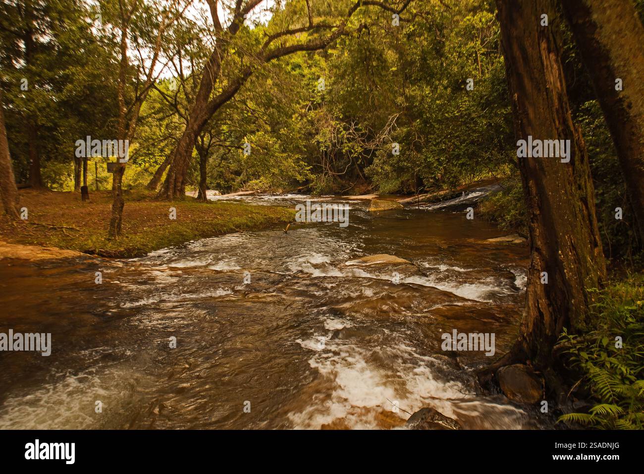Politzi River Magoebaskloof South Africa 16384 Stock Photo - Alamy