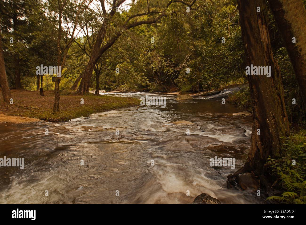 Politzi River Magoebaskloof South Africa 16385 Stock Photo - Alamy