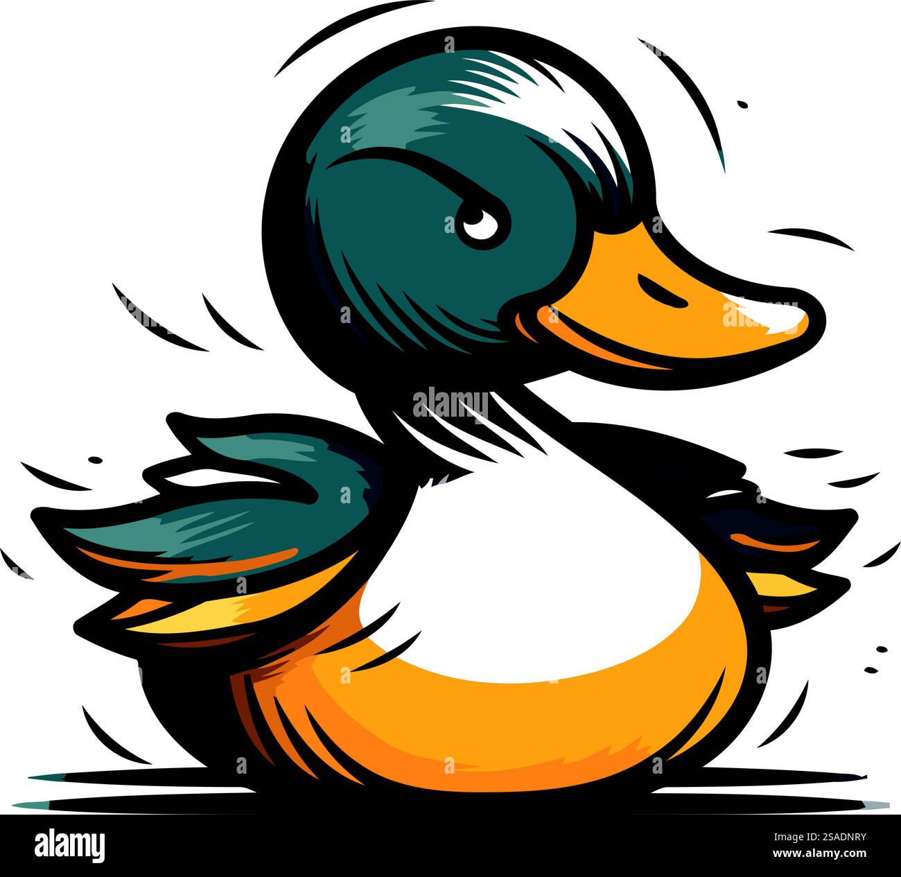 Vector illustration of a mallard duck mascot isolated on white ...