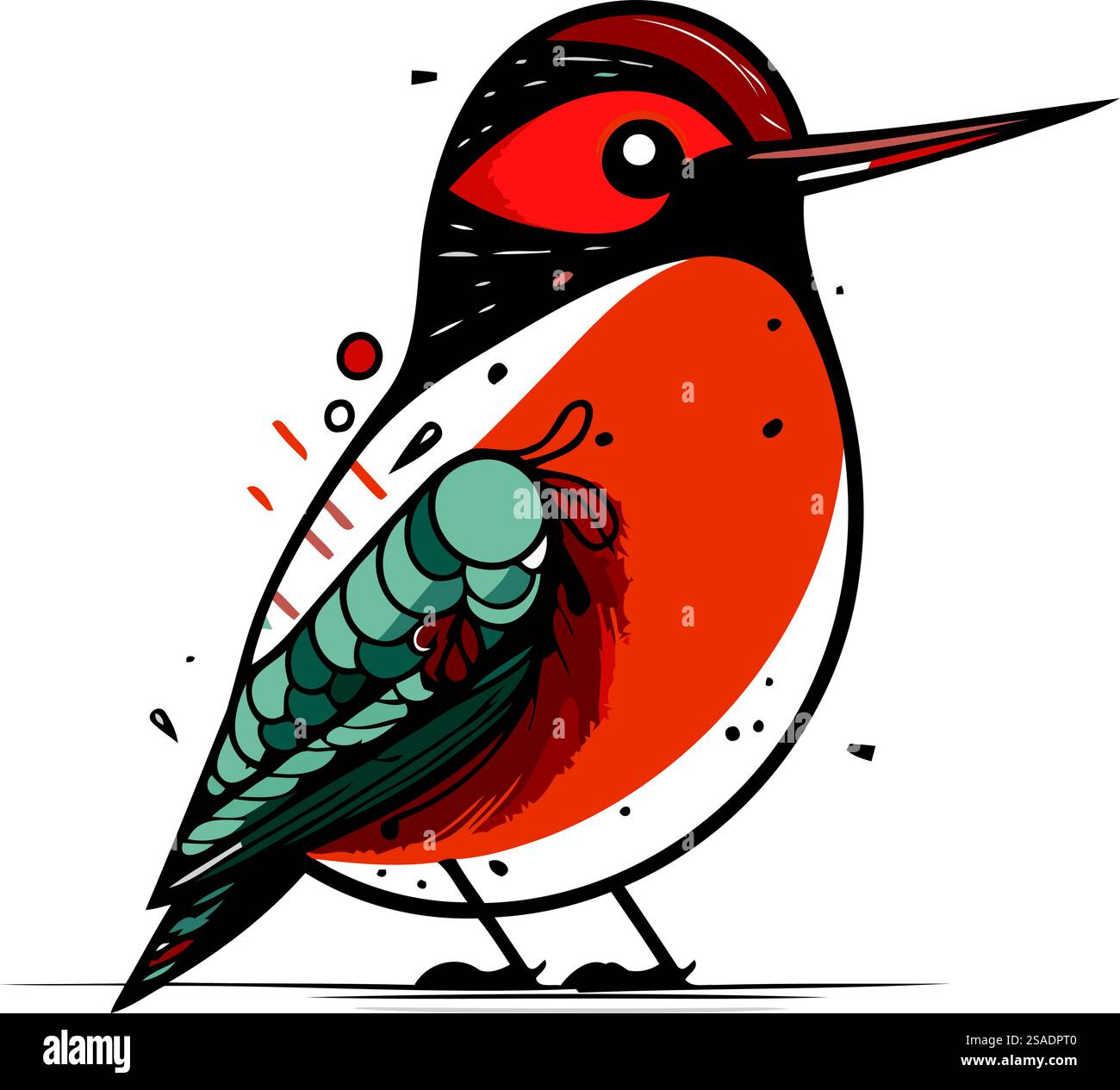 Hand drawn vector illustration of a red backed woodpecker Stock Vector ...