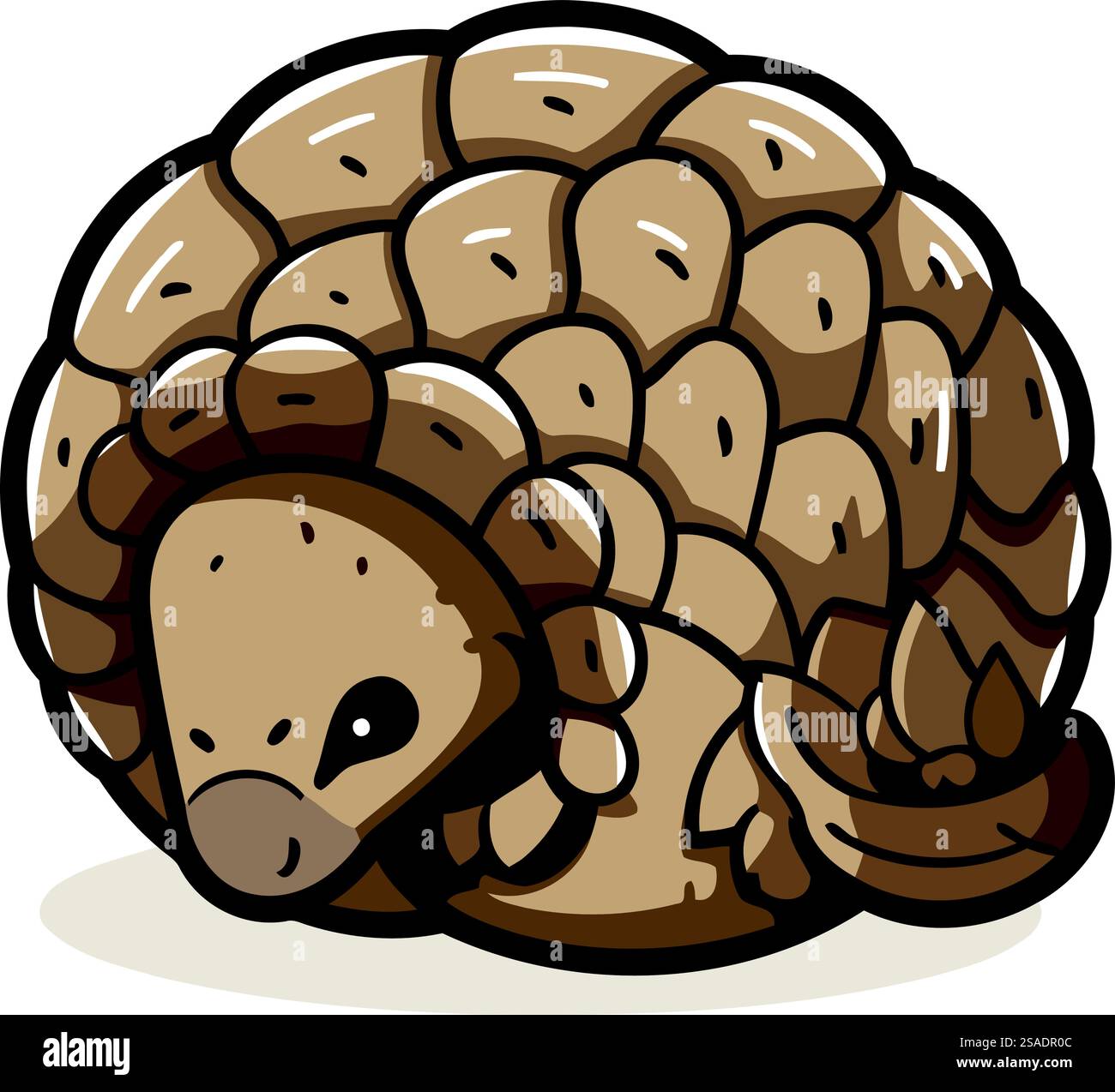 Cartoon funny tortoise. Vector illustration of a tortoise Stock Vector ...