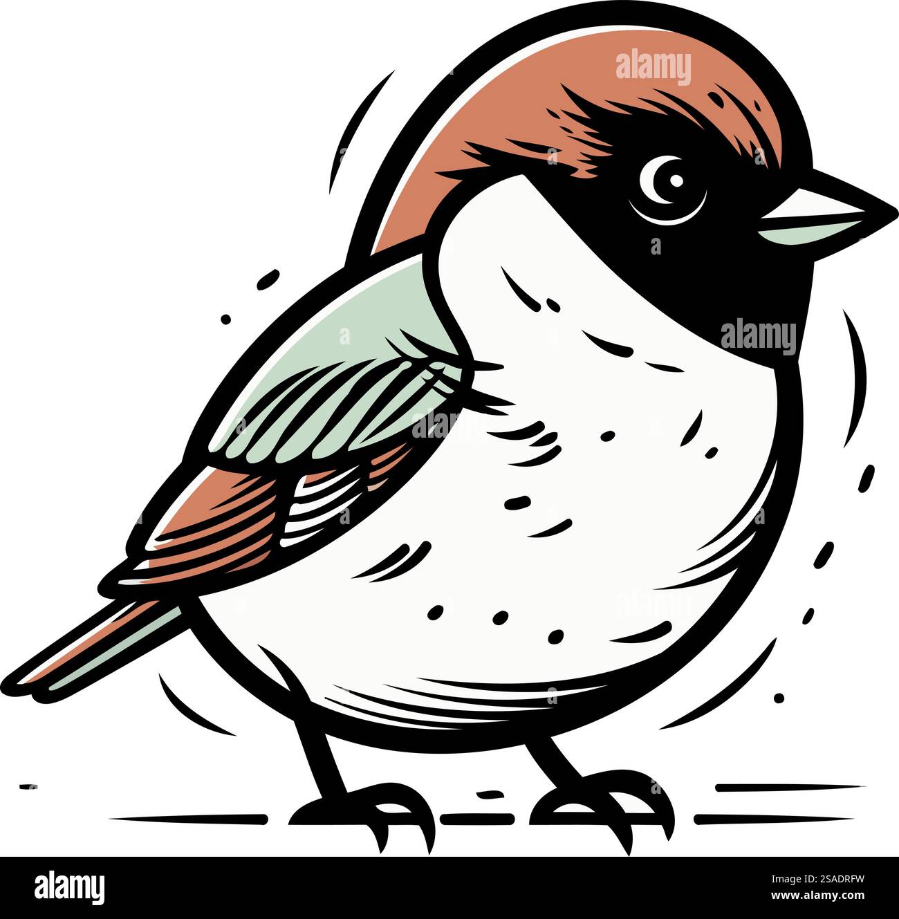 Vector illustration of a sparrow isolated on a white background. Hand ...