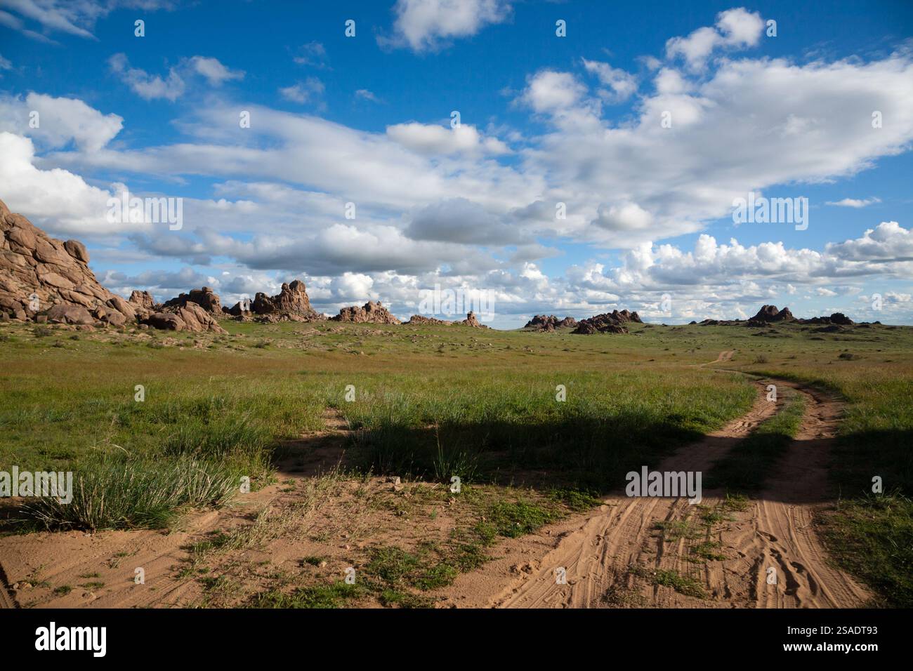 Ikh gazriin chuluu National Park landscape, Mongolia. Gobi desert area ...
