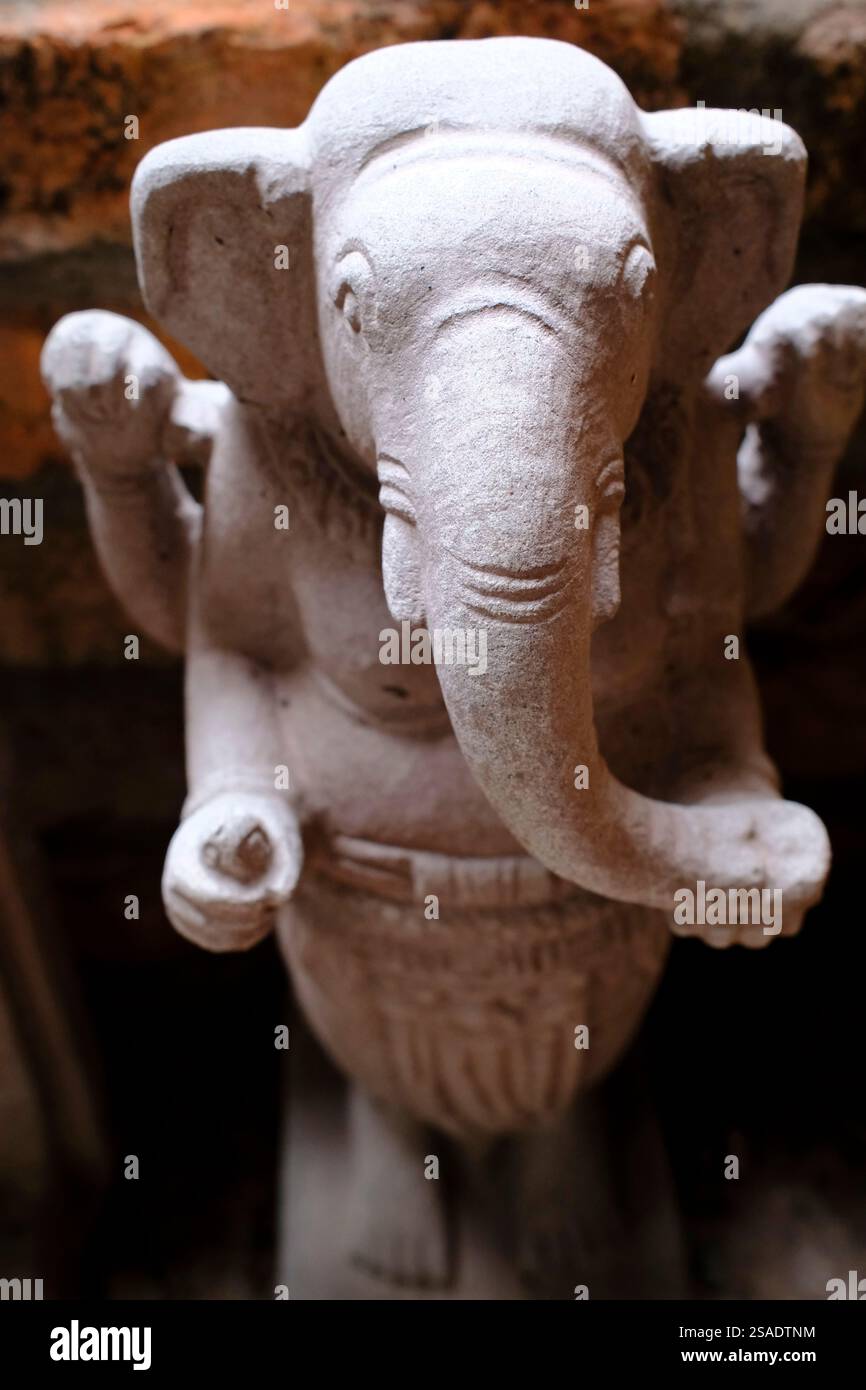Fito Museum or museum of Vietnamese Traditionnal Medicine. Elephant ...