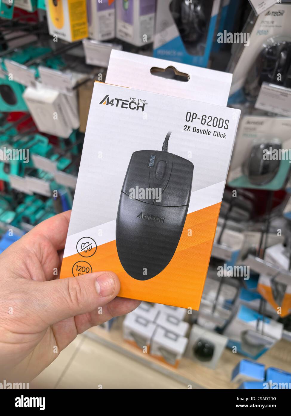 Bobruisk, Belarus - 26 January 2025: A person displays a new computer ...