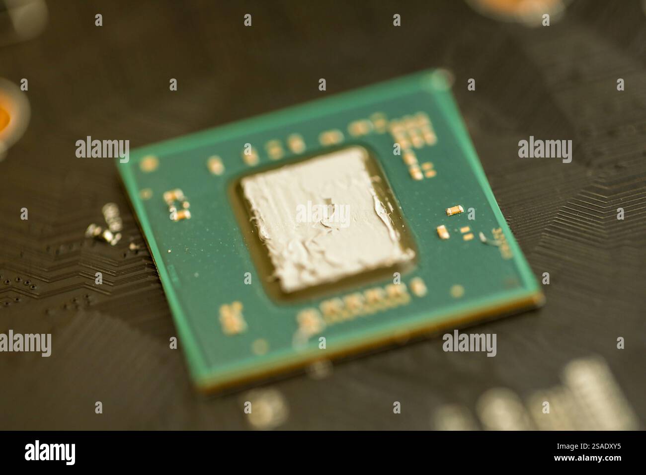 KYIV, UKRAINE - JANUARY 29, 2025 applying thermal paste on a processor ...