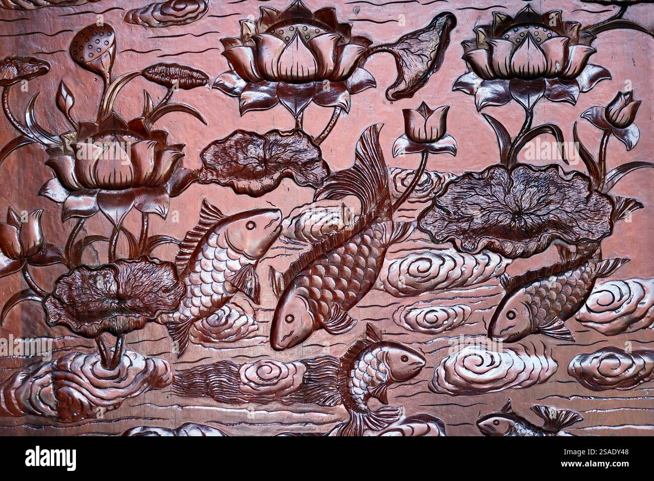 Thien Truc buddhist pagoda. Fish and lotus flowers. Bac Lieu. Vietnam ...