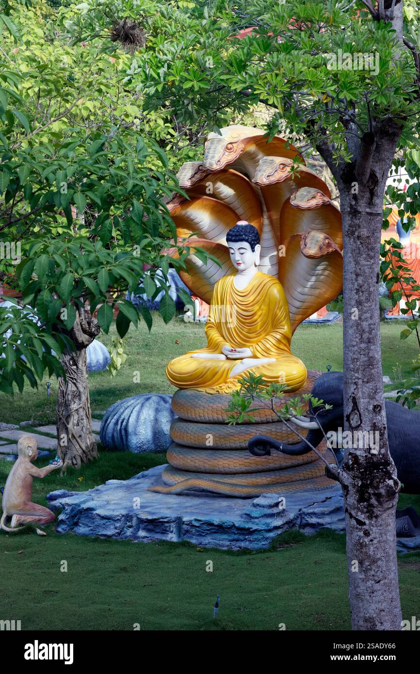 Thien Truc buddhist pagoda. The Buddha in retreat attended a monkey and ...