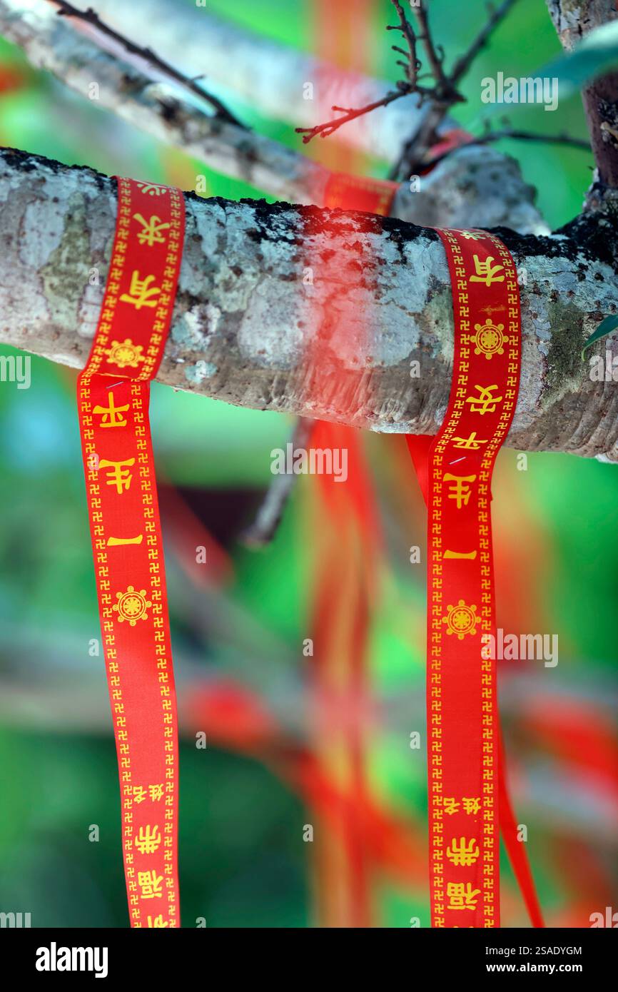 Phuoc Duyen buddhist pagoda. Prayer ribbons hanging from a tree branch ...