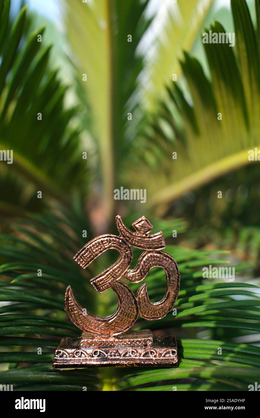 The Om or Aum symbol. In Hinduism, Om is one of the most important ...