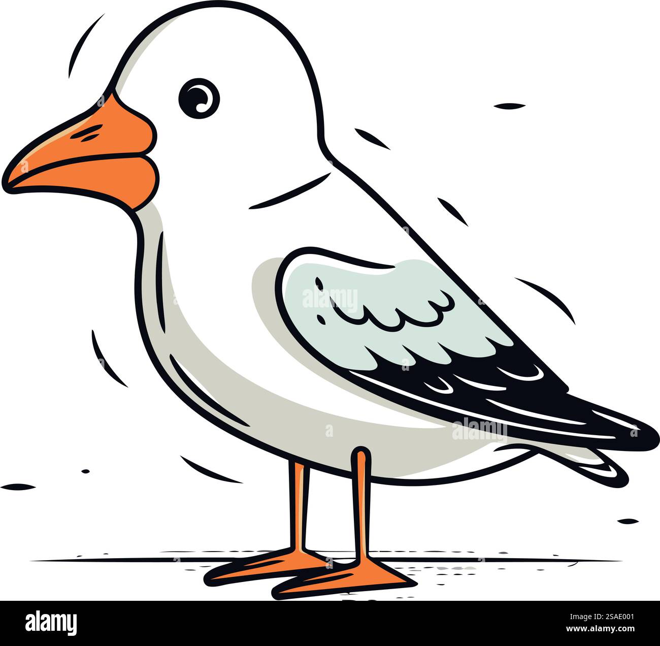 Vector illustration of a seagull isolated on a white background Stock ...