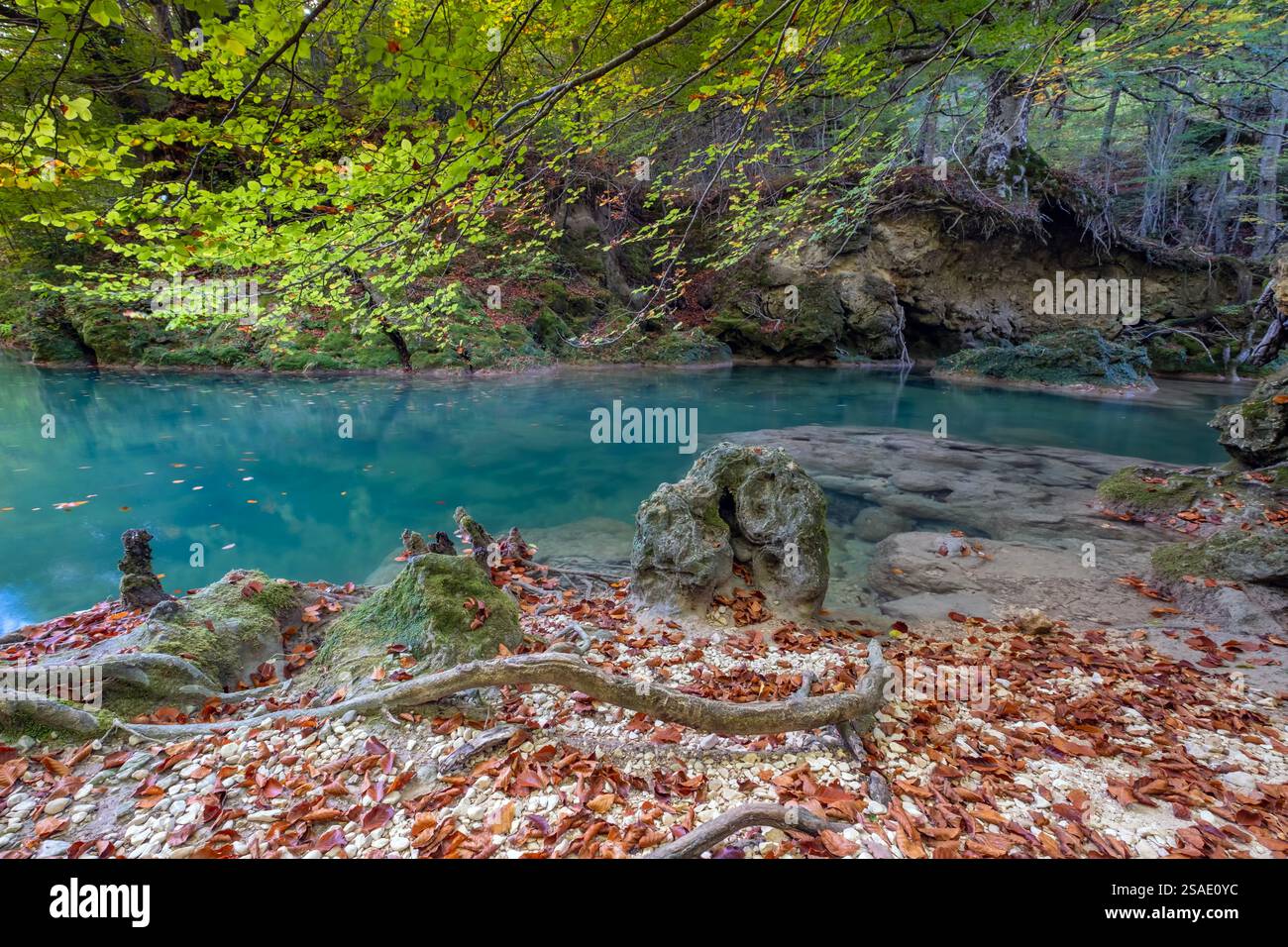Turquoise water in the source of the Urederra River natural Park Urbasa ...