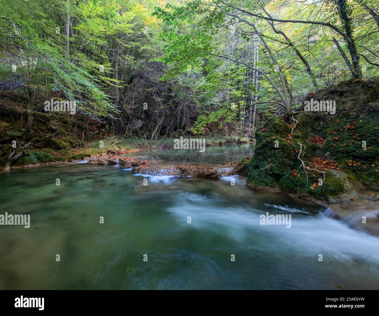 Turquoise water in the source of the Urederra River natural Park Urbasa ...