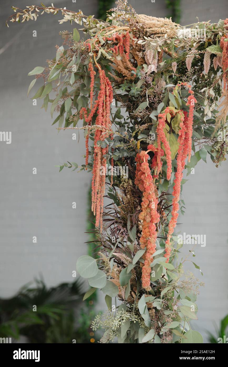 Hanging orange flowers drape elegantly from a lush vertical garden ...