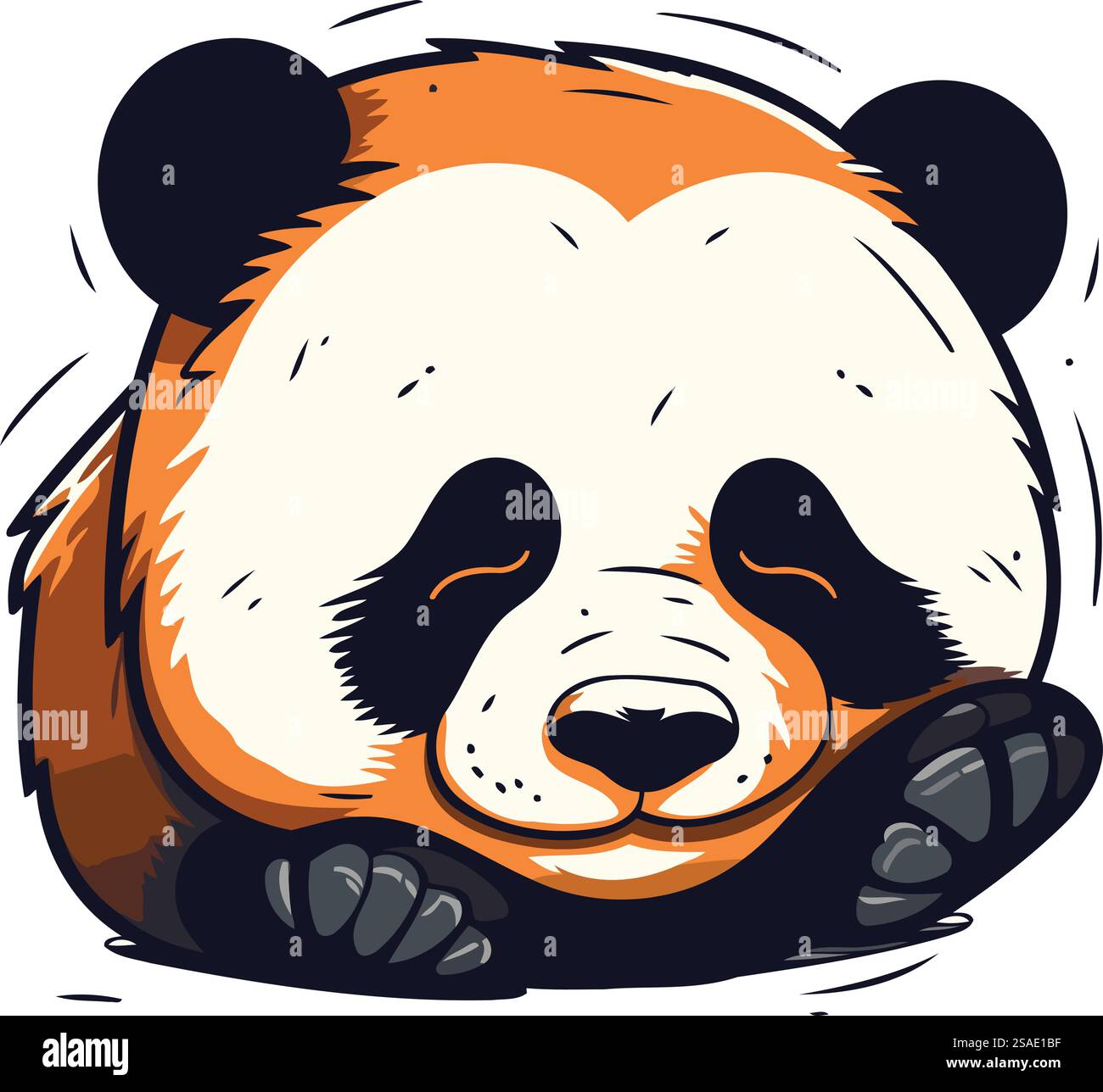 Panda bear. Hand drawn vector illustration of a panda bear Stock Vector ...