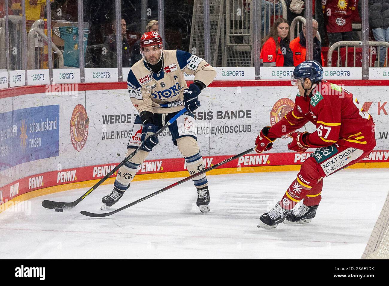 29.01.2025, Eishockey: Penny DEL, Saison 2024/2025, 41. Spieltag ...