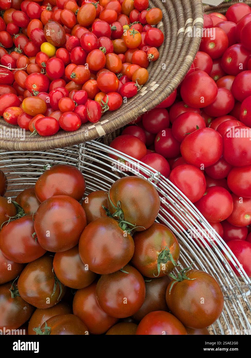 Oranjezicht farm hi-res stock photography and images - Alamy