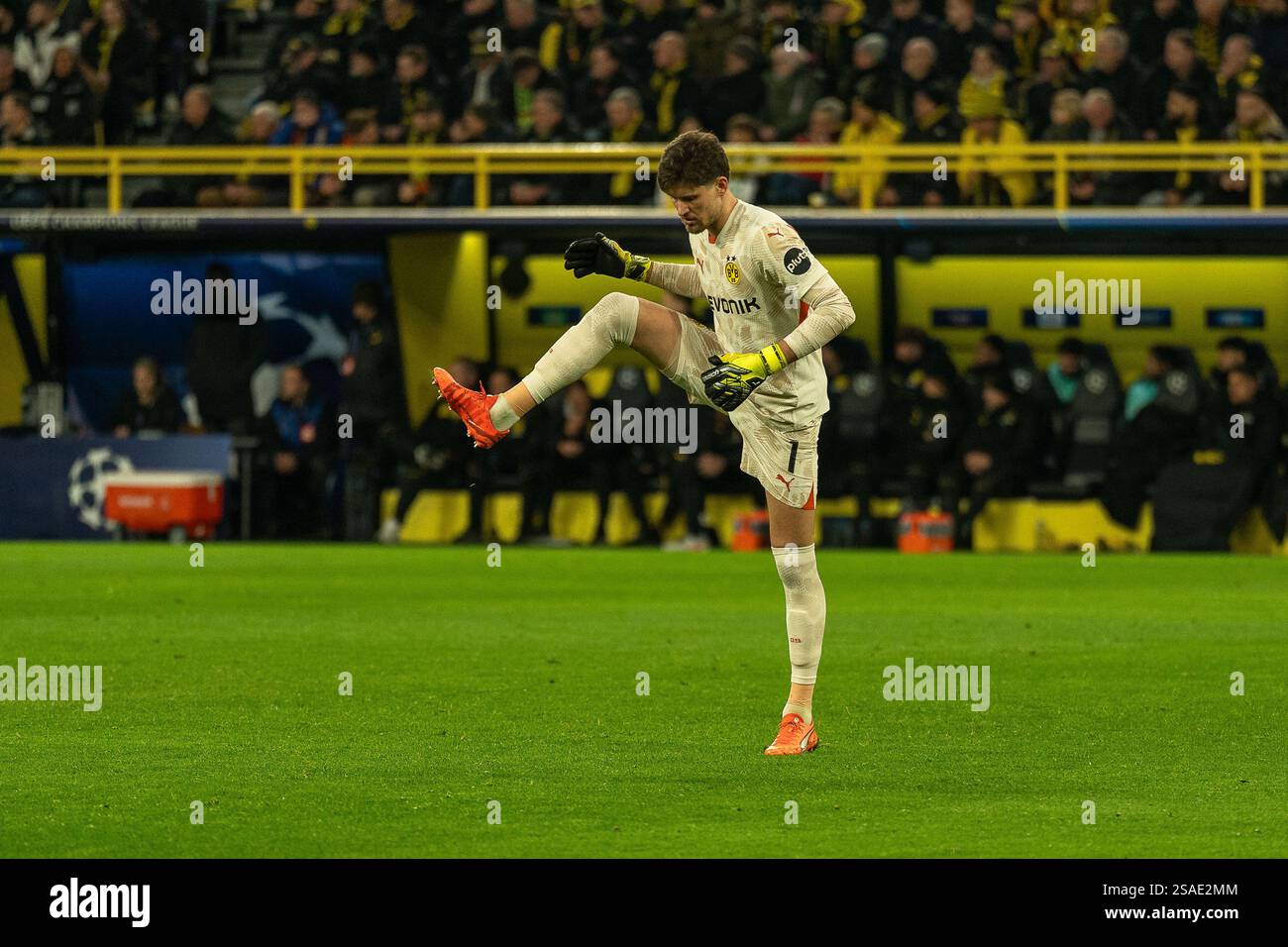 Gregor Kobel (Borussia Dortmund 09, #01) haelt sich warm, GER BVB ...