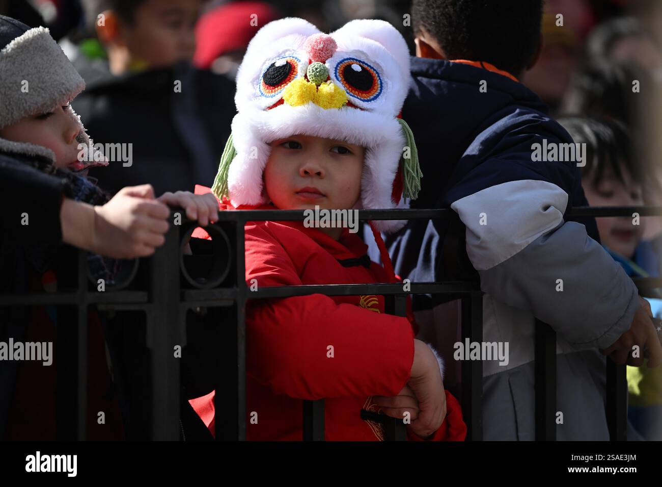 New York, USA. 29th Jan, 2025. Celebrating the 'Year of the Snake ...