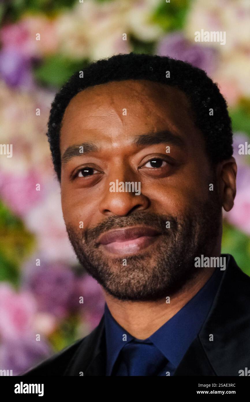 London, UK. 29th Jan, 2025. Chiwetel Ejiofor seen at the World Premiere ...