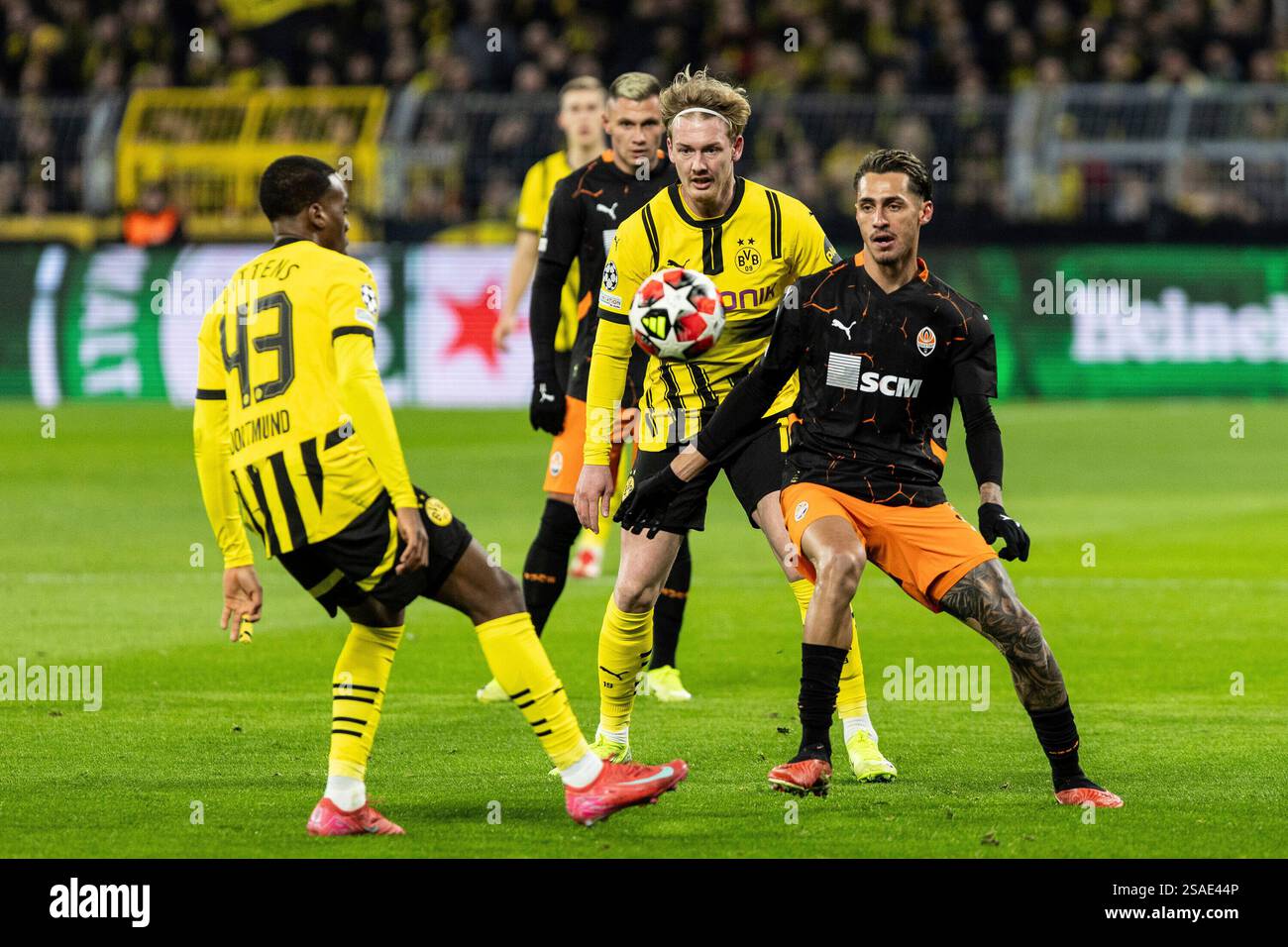 Dortmund, Deutschland. 29th Jan, 2025. Jamie Gittens (Borussia Dortmund, 43), Julian Brandt ...